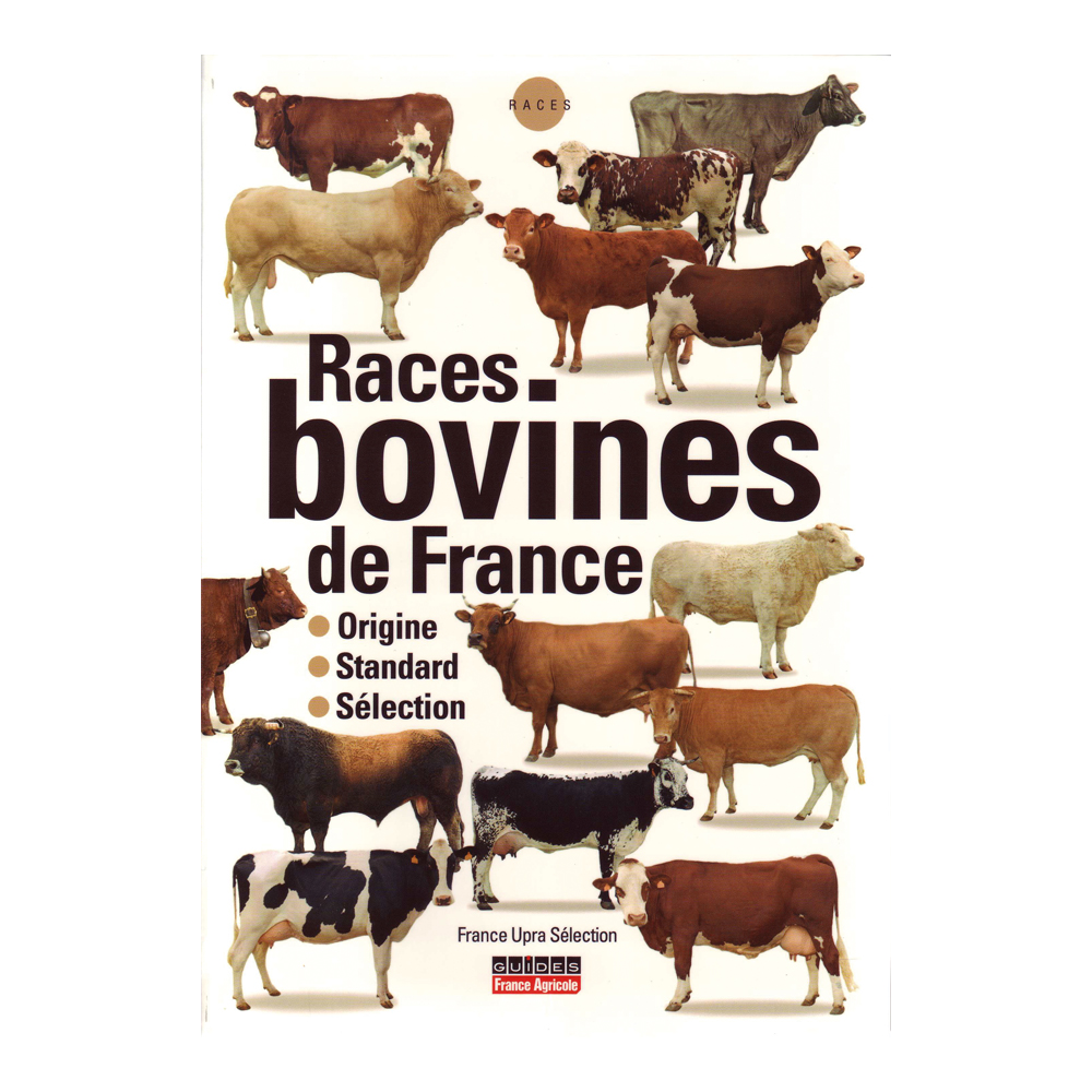 Races Bovines Française | Idées cadeaux - Vive l'elevage